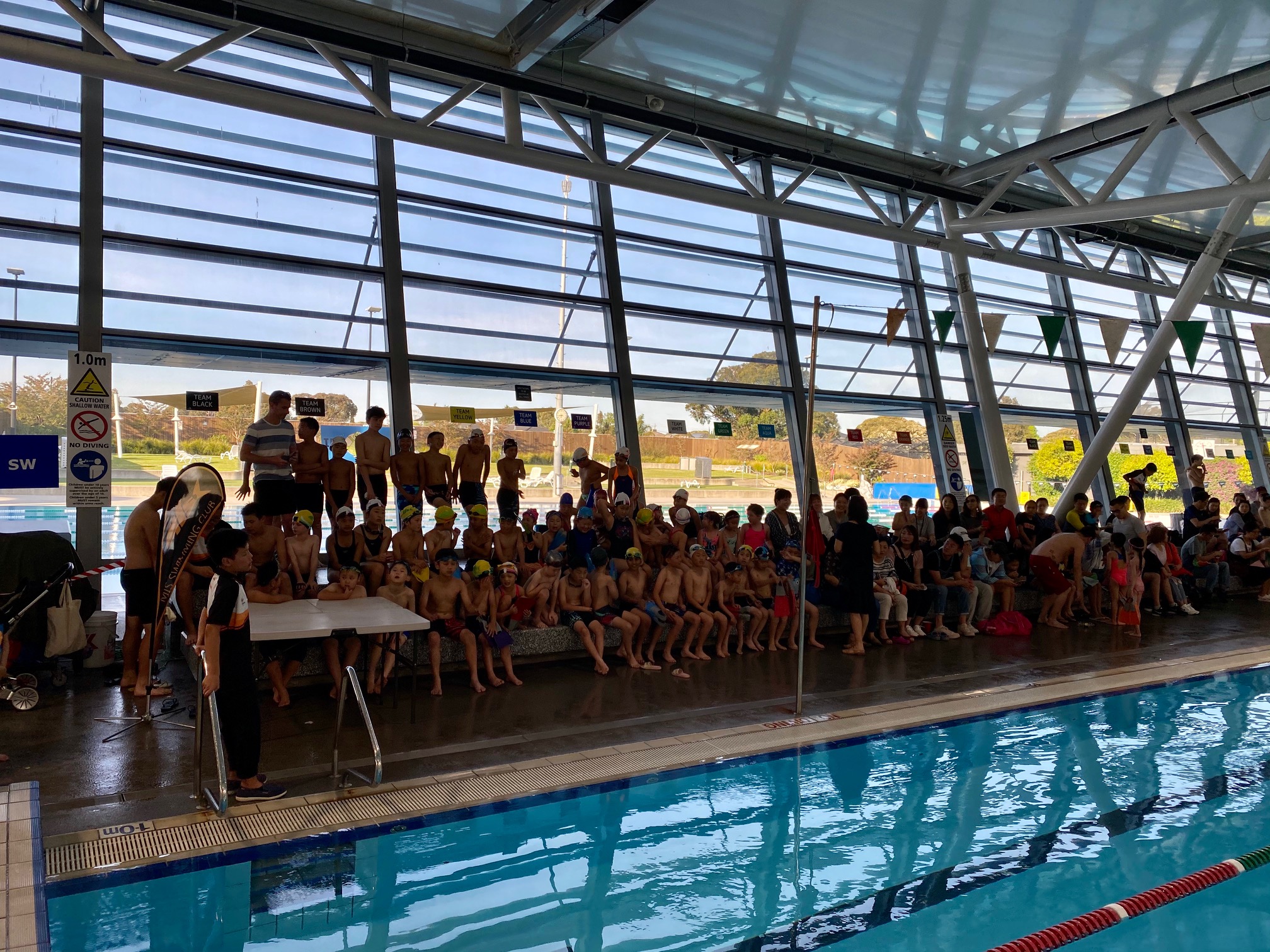 MIS 2019 Year End Pool Party – MIS Swimming Club